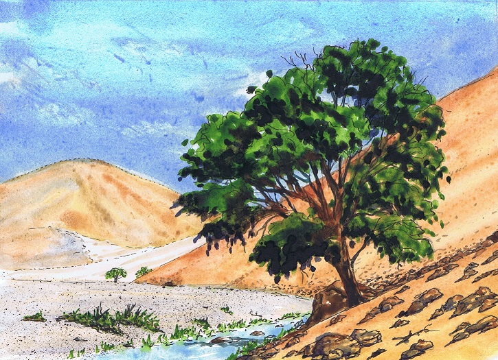 Creative prayer: trees | Lynne Baab