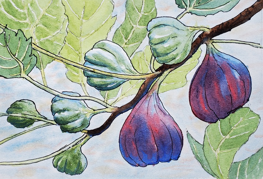 Praying about Jesus’s miracles: Jesus withers a fig tree | Lynne Baab